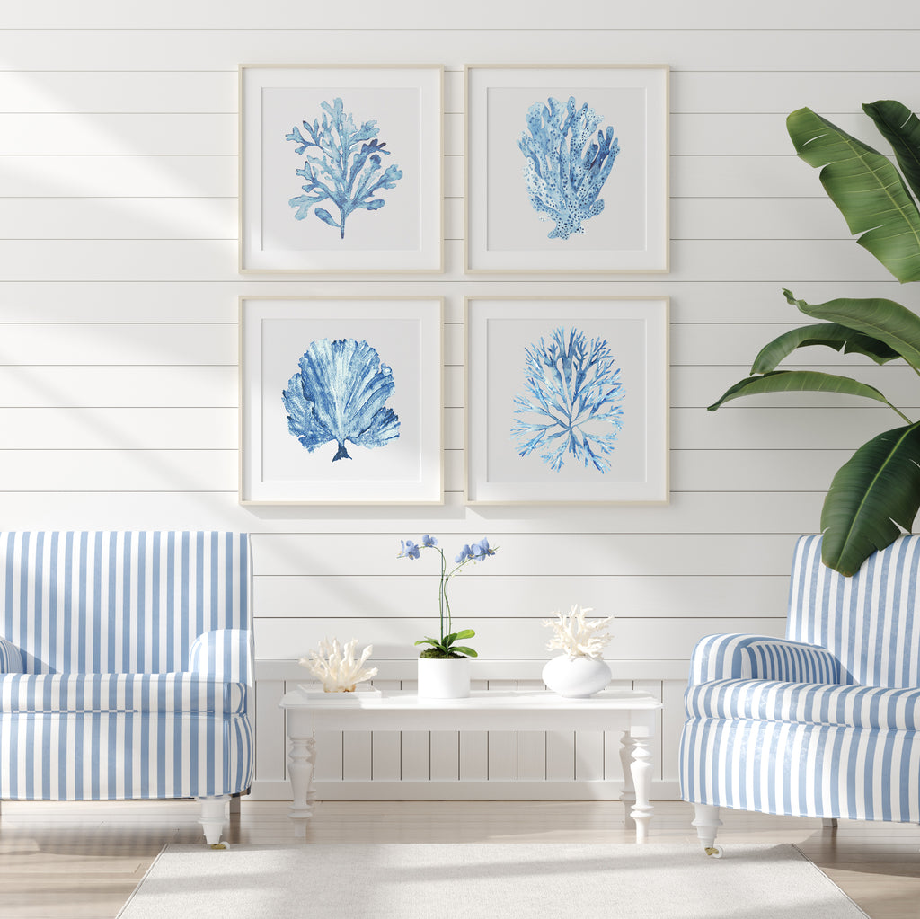 Sky Blue Coral Seaweed Set of 4 Wall Art Prints | Driftwood Interiors