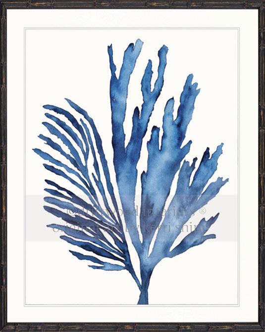 seaweed pictures to print